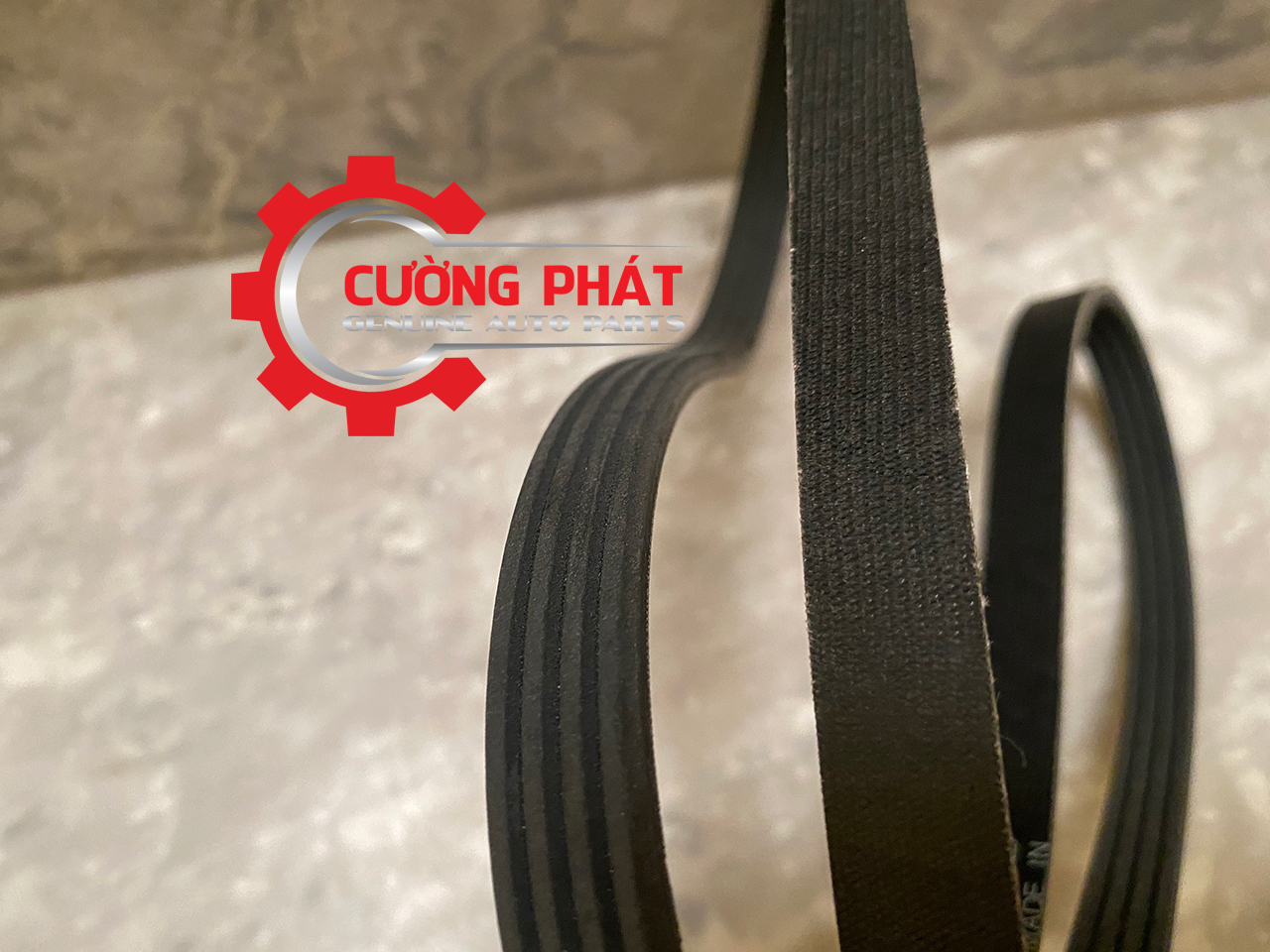 Dây trợ lực Mitsubishi Zinger 2008-2014 4451A151